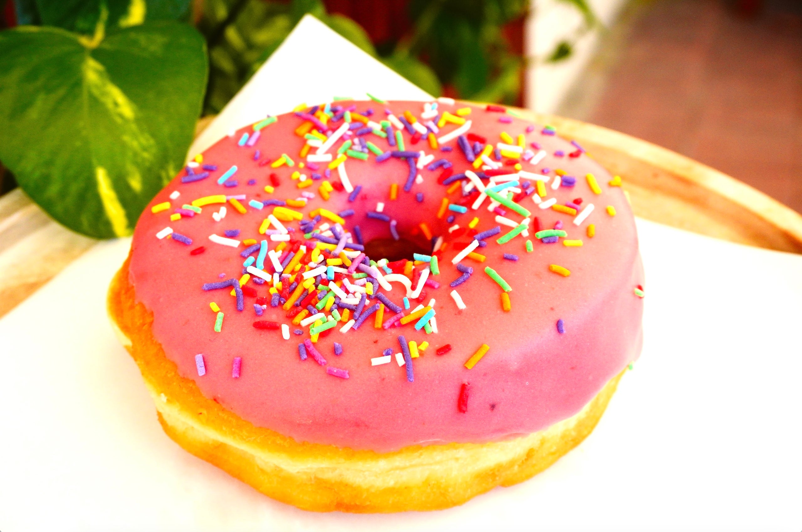 Homer Simpson | Duke's